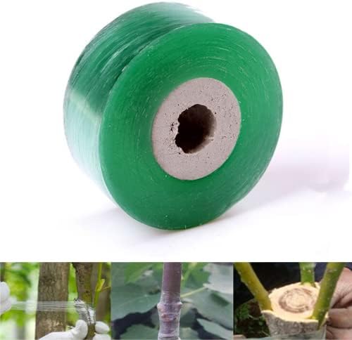 Amazon.com: ShengXia 100M Self-Adhesive Fruit Tree Grafting Tape ...
