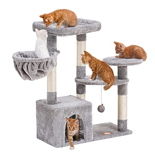 Chewy Cat Trees – The 15 best products compared - Wild Explained