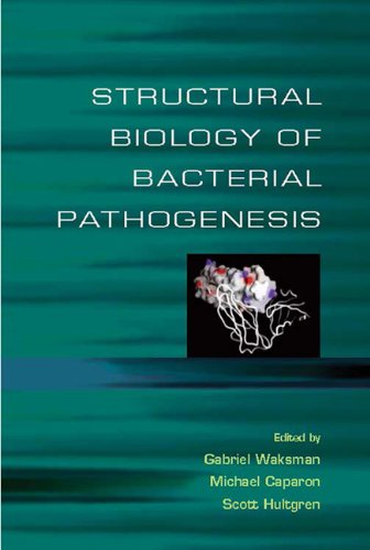 Structural Biology of Bacterial Pathogensis: 9781555813017: Medicine ...