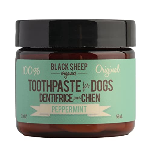 Top 10 All Natural Dog Toothpaste of 2022 - Katynel
