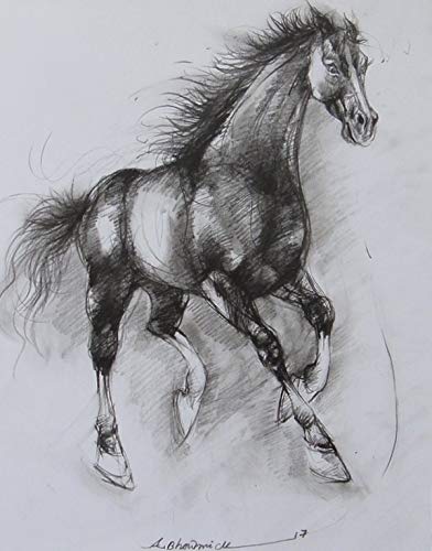 Chetak (Charcoal Drawing by Ajay Bhowmick) : Ajay Bhowmick: Amazon.in ...