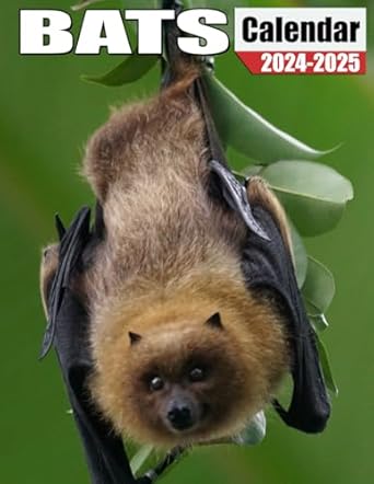 Amazon.com: Bats Calendar 2024 - 2025: Bring Joy and Stay Organized ...
