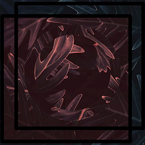 Play Midnight Disco by Synth Camera on Amazon Music