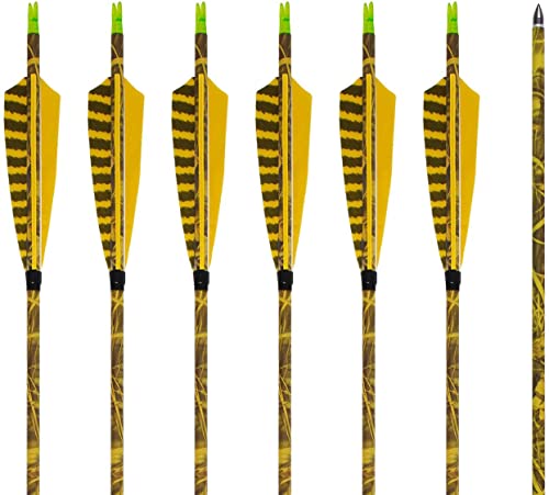 Kramer Ammons's Amazon Page