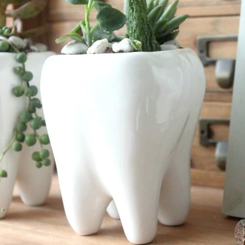 Amazon.com: Ceramic Flower Pot, Cute Tooth Design, Color White