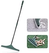 Amazon.com : ORIENTOOLS Artificial Turf Rake, Artificial Grass Rake ...