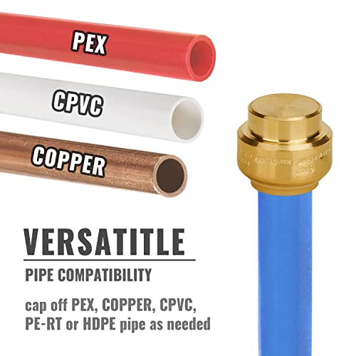 Snapklik.com : 12-Pack Push Fit End Cap, 3/4-Inch Push-to-Connect, No ...