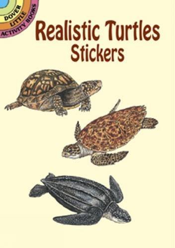 Realistic Turtles Stickers (Dover Little Activity Books Stickers) by Sy ...