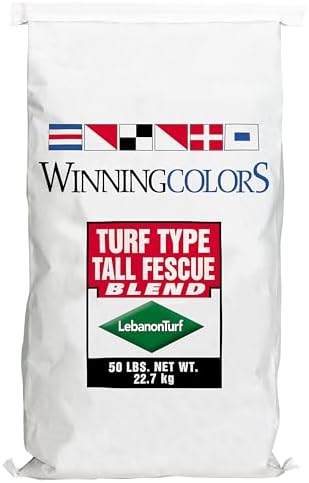 Amazon.com : SeedRanch Falcon IV Turf Type Tall Fescue Grass Seeds - 50 ...