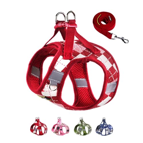 Red Dog Harness – The 15 best products compared - Wild Explained