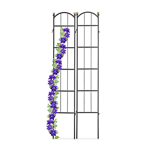 Design Rankgitter – Die 15 besten Produkte im Vergleich - www.haus-und ...