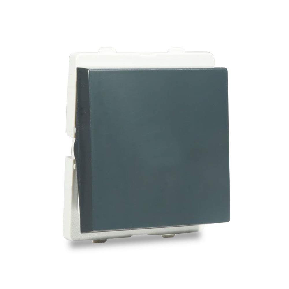 Schneider Electric Livia-20A 2 Module Double Pole Switch with Indicator ...
