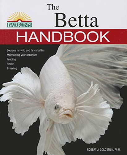 How To Set Up a Betta Fish Tank: Step by Step Guide