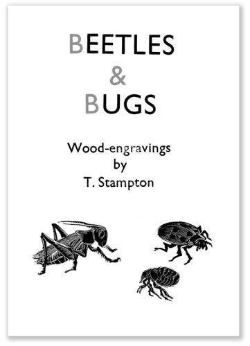 Beetles & Bugs eBook : Stampton, Tim, Tim Stampton: Amazon.in: Books