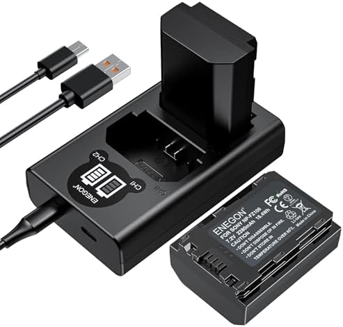 NEEWER 2 Pack 2280mAh NP-FZ100 Replacement Battery and Dual USB Charger with LCD Screen ...