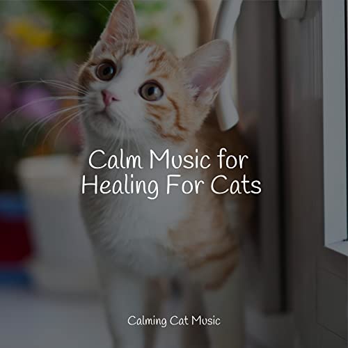 Amazon MusicでJazz Music for Cats, Music for Cats Project & Music for ...