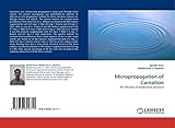 ・ブランド:LAP Lambert Academic Publishing・製造元:LAP Lambert Academic Publishing