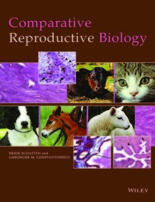 COMPARATIVE REPRODUCTIVE BIOLOGY: Heide & G M Constantinescu Schatten ...