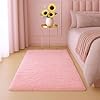 Aspire Homeware Rugs Living Room - Pink Area Rugs 50x80cm for Bedroom ...