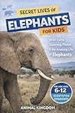 ・製造元:Animal Kingdom・製造元/メーカー部品番号:Refer to Sapnet.