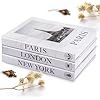 Amazon.com: Fake Books for Decoration - Set of 3 Decorative Books for ...