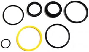 Amazon.com: All States Hydraulic Seal Kit - Lift Cylinder fits Bobcat ...