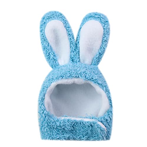 10 Must-Have Puppy Bunny Ear Products for Your Adorable Fur Baby ...