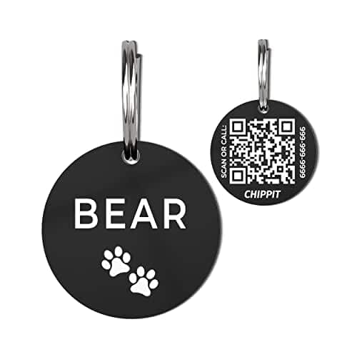 Amazon.com: Chippit Stainless Steel ID Tag Personalized Premium Dog Tag ...