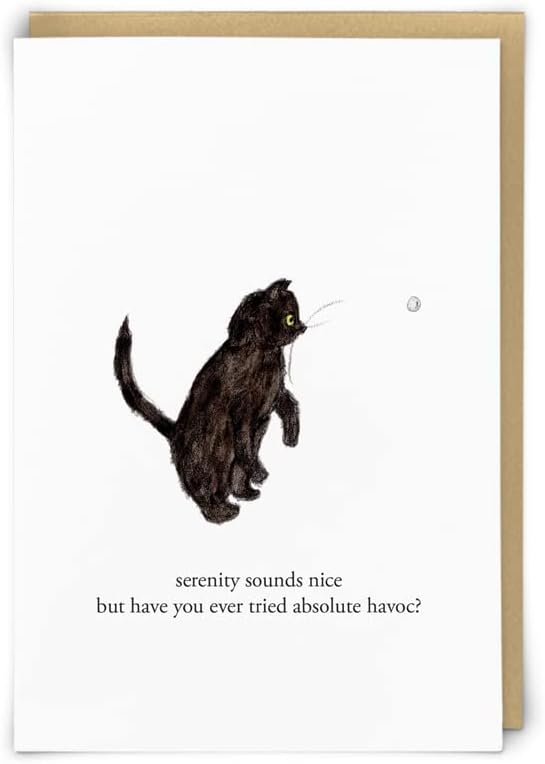 Redback Cards Zeppelinmoon Humour Funny Black Cat Birthday/Open ...