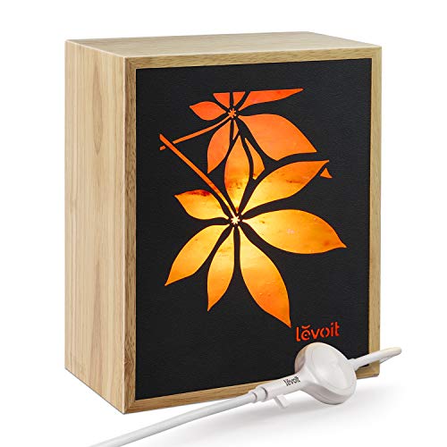 Best Salt Lamps Canada – Best Cost