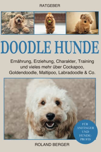 Labradoodle -Temperament/Wesen, Haltung, Erziehung, Preise und ...