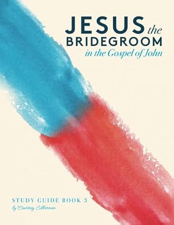 Jesus the Bridegroom in the Gospel of John: Book 3: Silberman, Courtney ...