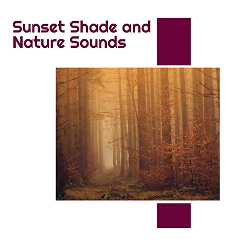 Play Sunset Shade and Nature Sounds by VARIOUS ARTISTS on Amazon Music ...