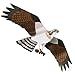 Amazon.com: Jackite Osprey Kite & Fiberglass Telescoping Pole : Patio ...
