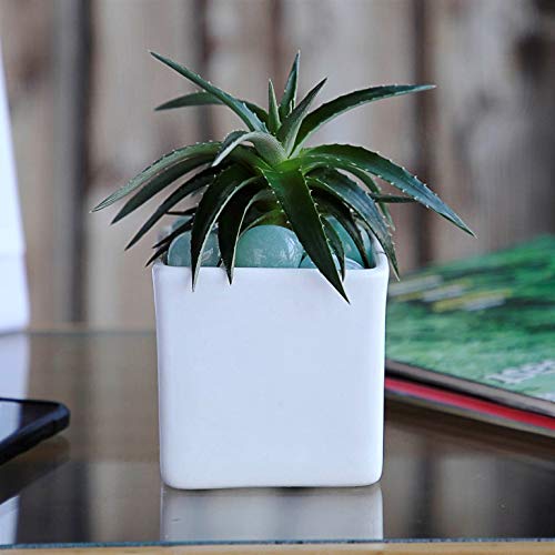 Ugaoo Small Square Ceramic Pot (Small, White) : Amazon.in: Garden ...