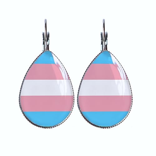 Amazon.com: transgender earrings, transgender jewelry, transgender ...