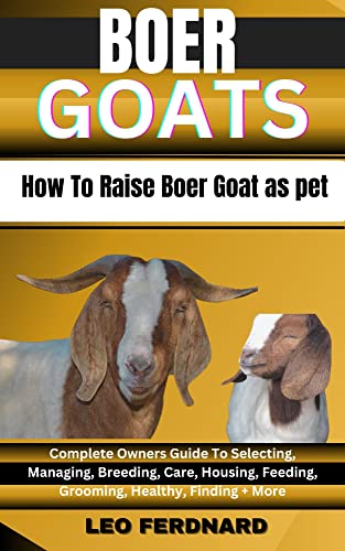 BOER GOATS, How To Raise Boer Goat as pet : Complete Owners Guide To ...