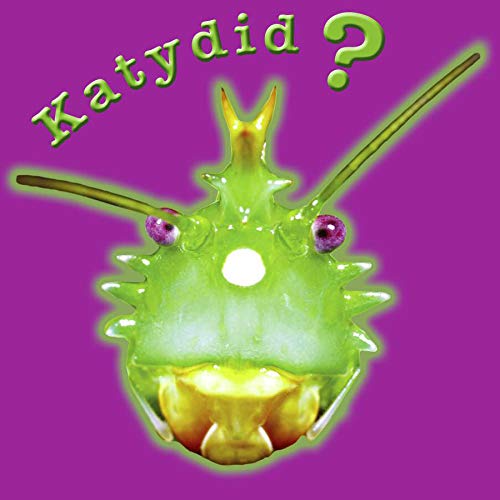 Katydid? Katy Didn't! (Bug Board Books): Karapetkova, Dr. Holly ...
