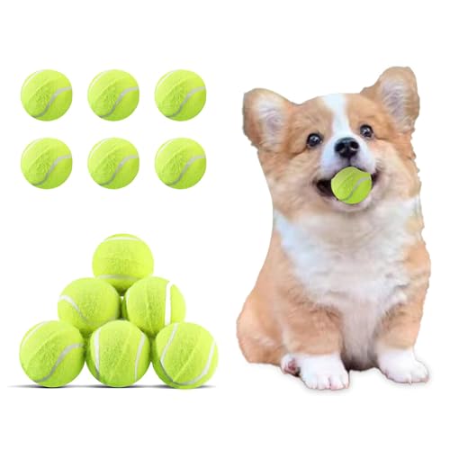Small Dog Balls – The 15 best products compared - Wild Explained