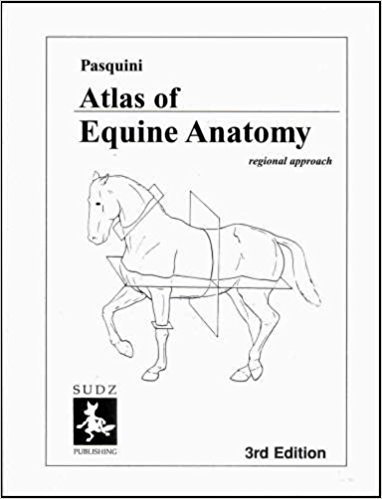 Atlas of Equine Anatomy: Chris Pasquini D.V.M., M.S., B.A ...