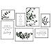 Hyggelig Home Premium Poster Set - 7 Matching Images in Set - Eucalyptus - Without Frame - 3 x ...
