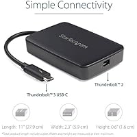 Amazon.com: StarTech.com Thunderbolt 3 to Thunderbolt 2 Adapter - TB3 ...