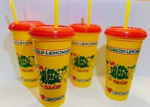 Amazon.com: 32 oz Reusable Lemonade Cups- 4 pack : Health & Household