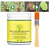 Amazon.com: Tree Wound Sealer, Bonsai Cut Paste, Pruning Sealer, Tree ...