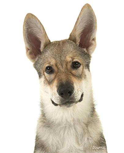 Journal: Tamaskan Puppy: Publications, Dreamflight: 9781092949729 ...