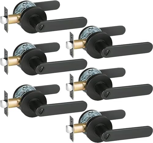 HISAFE Heavy Duty Privacy Lever Door Handle with Lock Matte Black Door ...