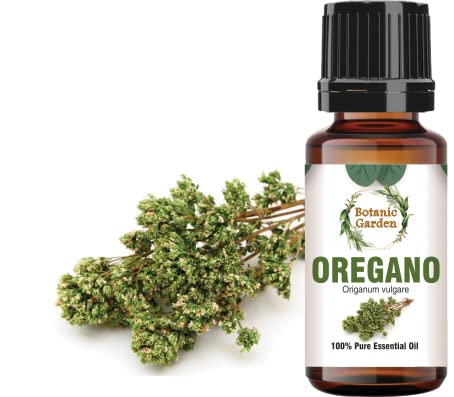 Botanic Garden Oregano Origanum Vulgare Essential Oil 100 Pure Natural ...