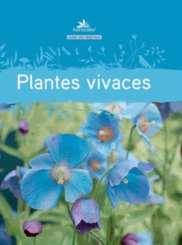 Amazon.com: guide des plantes vivaces: 9782904176371: Jean-Pierre ...