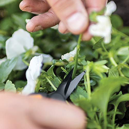 Best Bud Trimming Scissors | The Highest Crop
