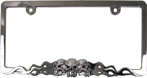 Amazon.com: Custom Accessories 92812 Skull in Flames License Plate ...